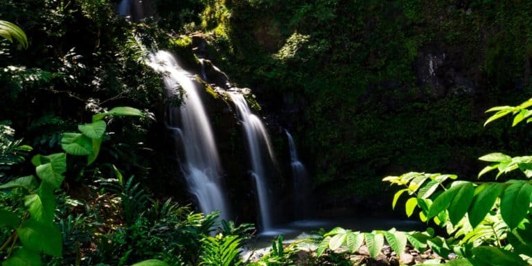 The Importance of Island Ecotourism in Hawaii | bigisland.org