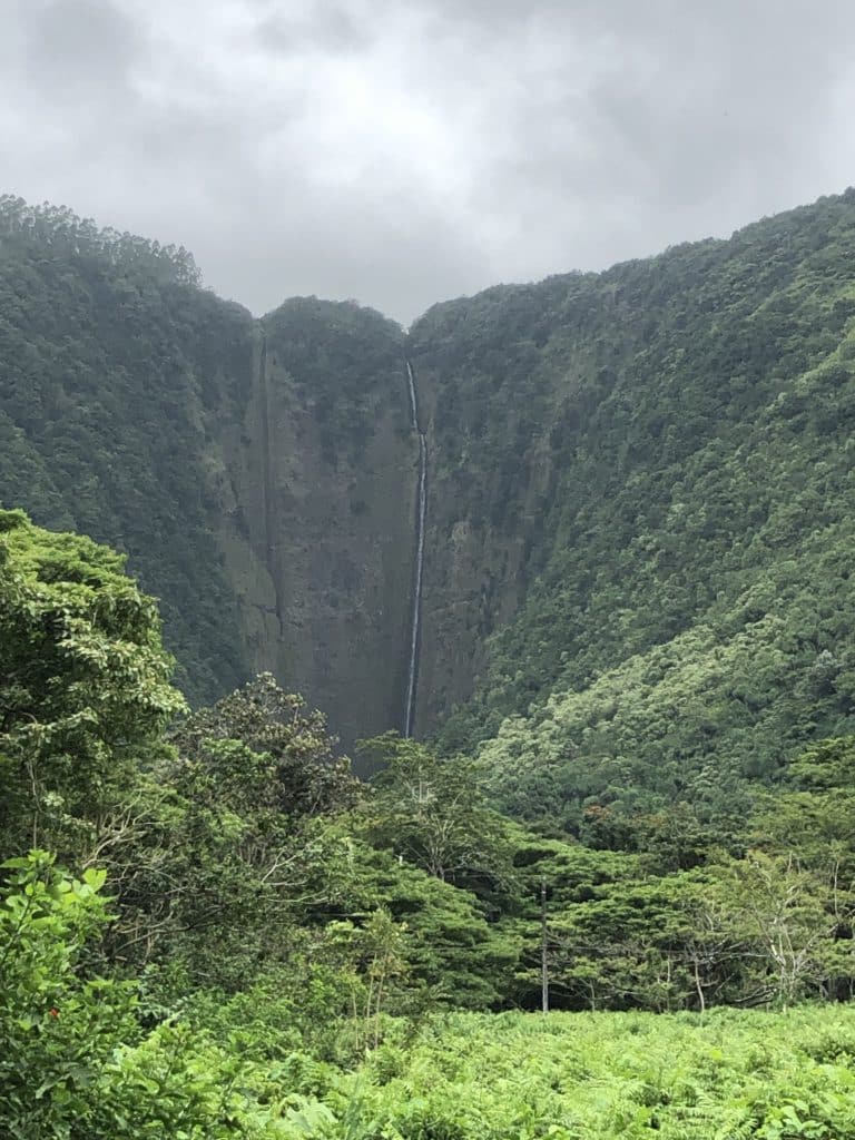 Waipo Valley Overlook- One of the Big Island's Best Views - bigisland.org