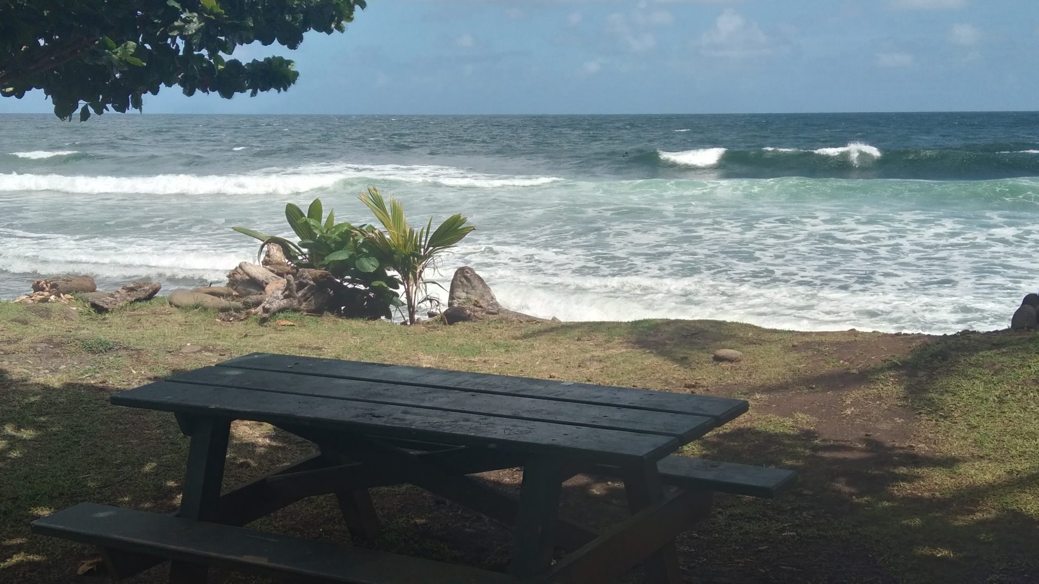 Honoli'i Beach Park – Hilo's Premiere Surfing Spot - bigisland.org