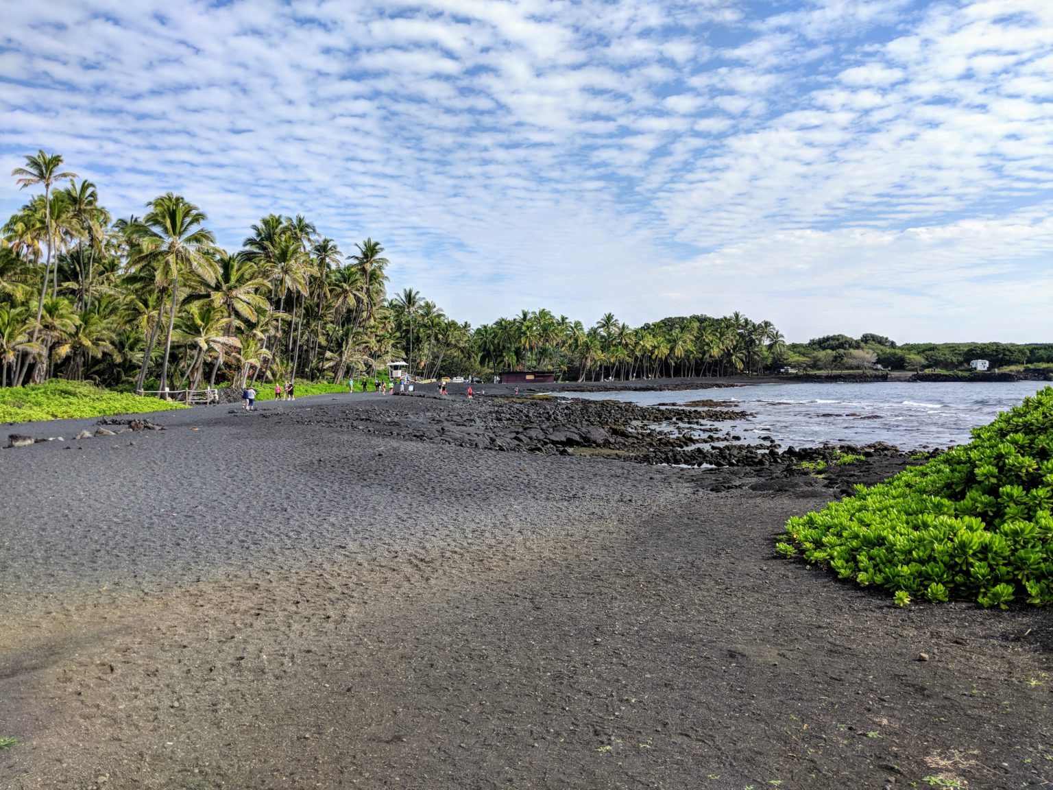 Punalu'u Beach – The Best Black Sand on the Big Island - bigisland.org