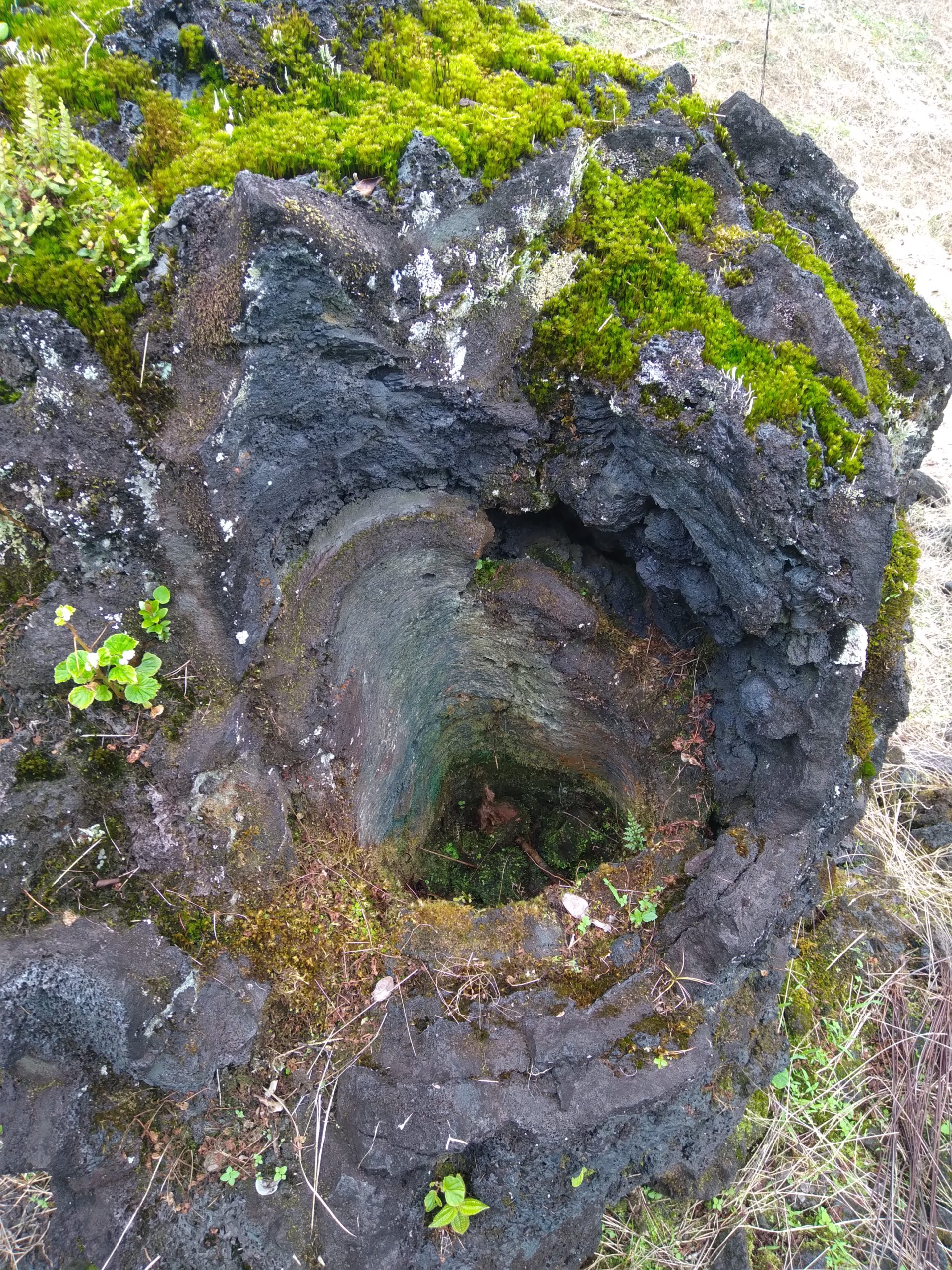 Lava Tree State Park – Black Rock Monuments Formed Around Ancient Tree ...