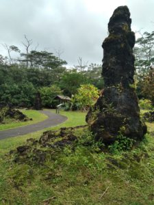 Lava Tree State Park – Black Rock Monuments Formed Around Ancient Tree ...