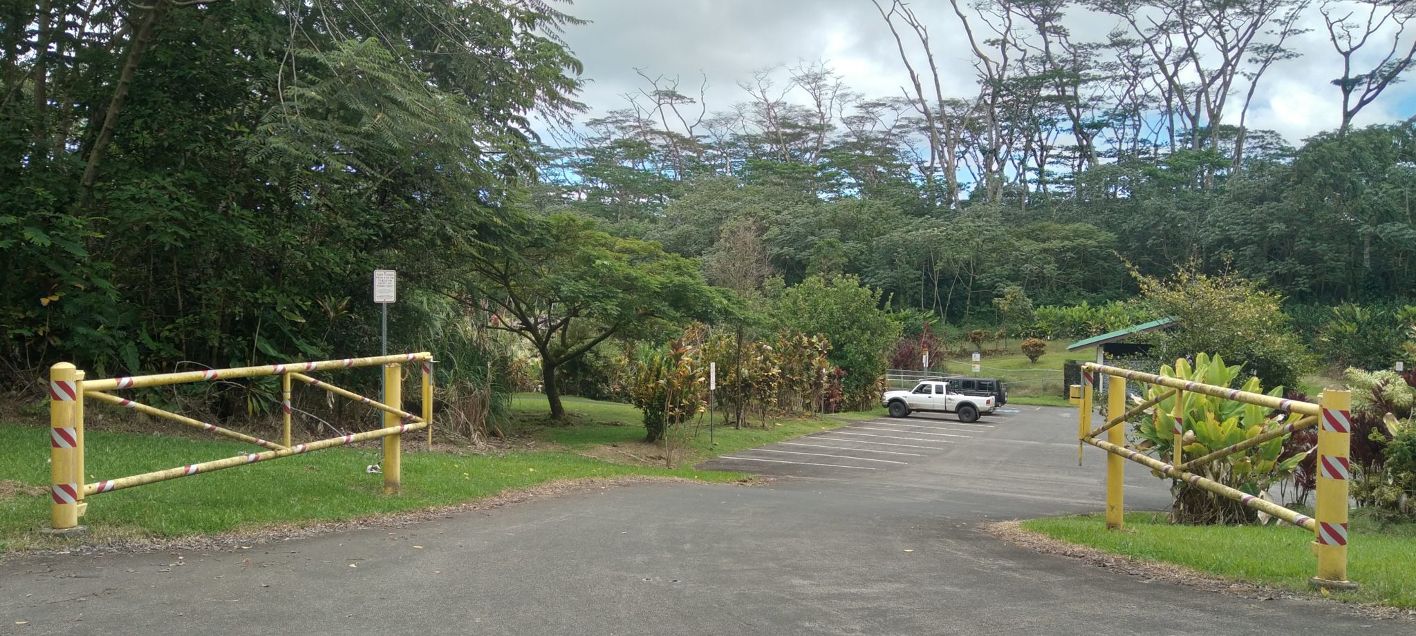Lava Tree State Park – Black Rock Monuments Formed Around Ancient Tree ...