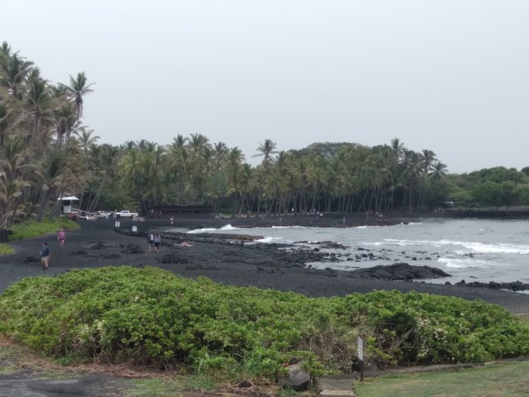 Punalu'u Beach – The Best Black Sand on the Big Island - bigisland.org