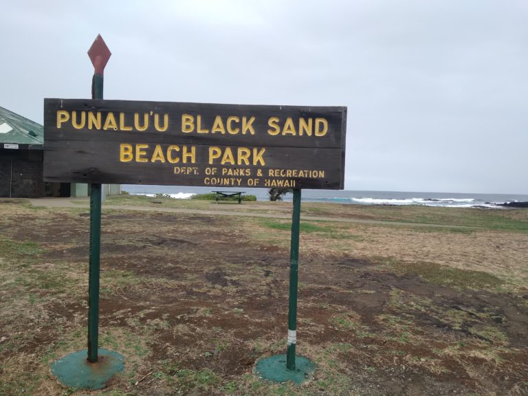 Punalu'u Beach – The Best Black Sand on the Big Island - bigisland.org