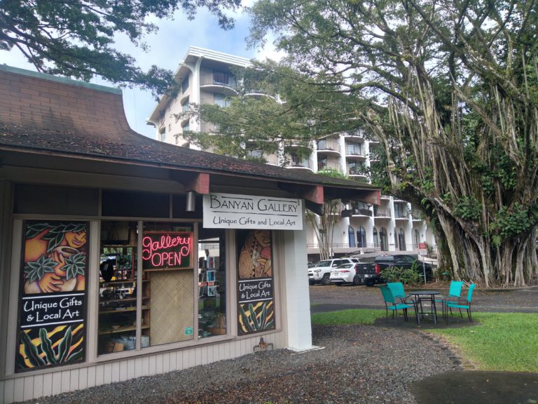 Banyan Drive – Big Island's “Walk of Fame” - bigisland.org
