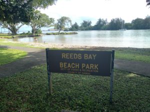 Reed's Bay Beach Park – Come for the beach, Stay For The geese ...