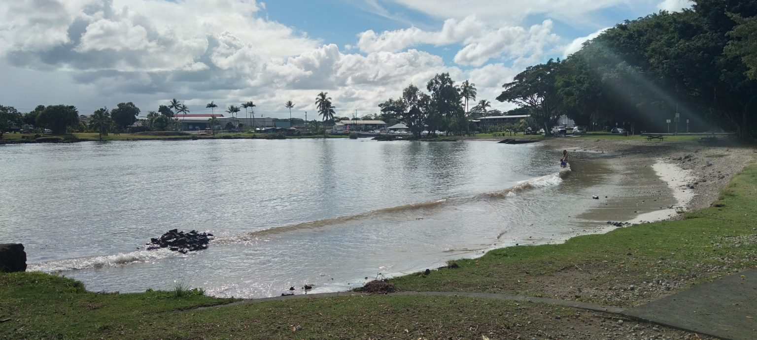 Reed's Bay Beach Park – Come for the beach, Stay For The geese ...