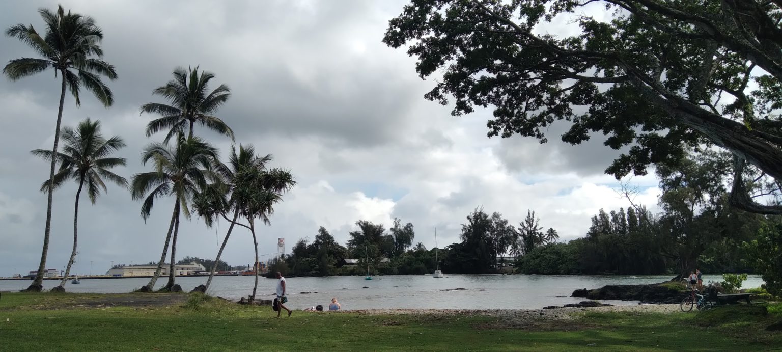 Reed's Bay Beach Park – Come for the beach, Stay For The geese ...