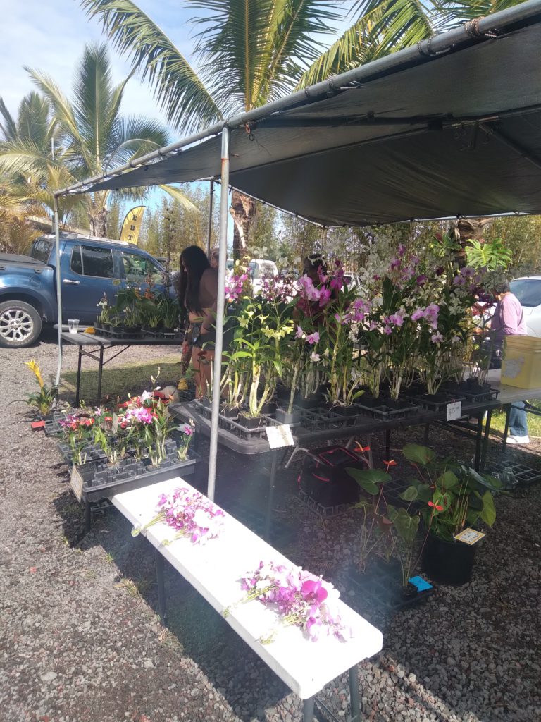 Maku'u Farmers Market – A Sunday Morning Fixture of Local Handicrafts ...