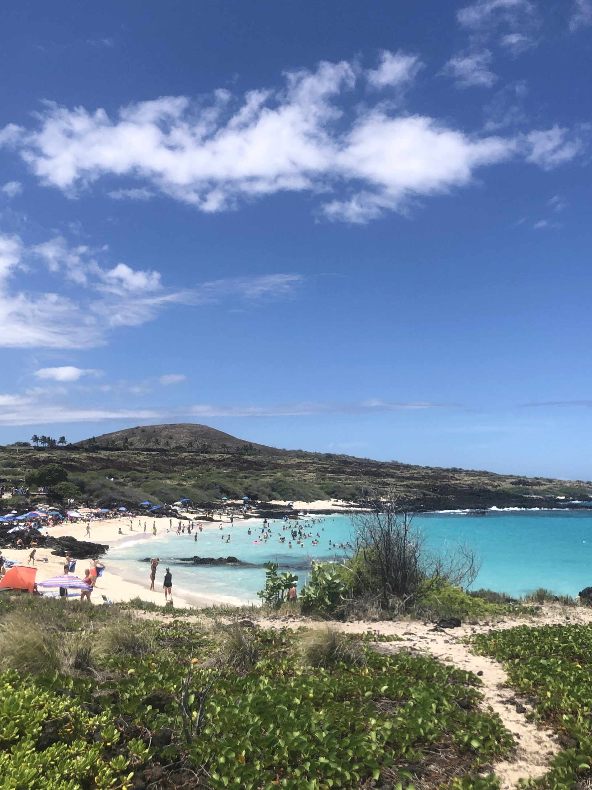 Beaches - bigisland.org