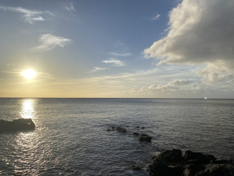 Mahukona Beach Park – The Best Snorkeling and Whale Watching ...